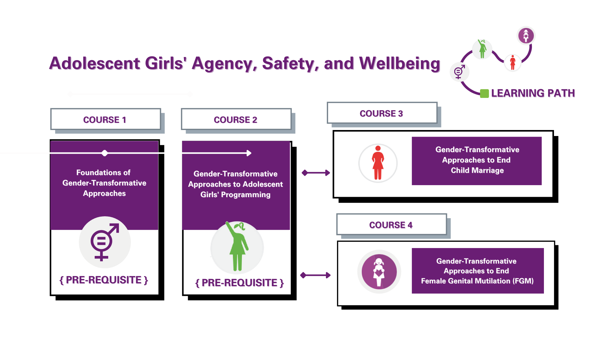 Summary of Gender-Transformative Approaches to Adolescent Girls Programming